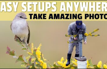 Bird Photography – Duade Paton Photography