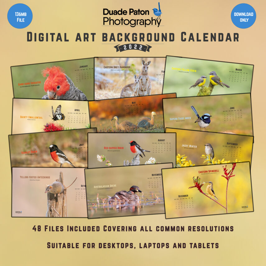 2022 Digital Art Calendar for Desktops, Laptops & Tablets – Duade Paton ...